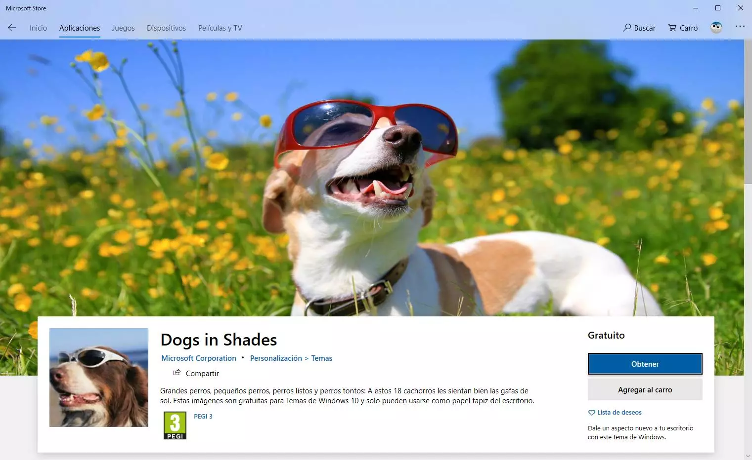 النظارات الشمسية موضوع الكلب