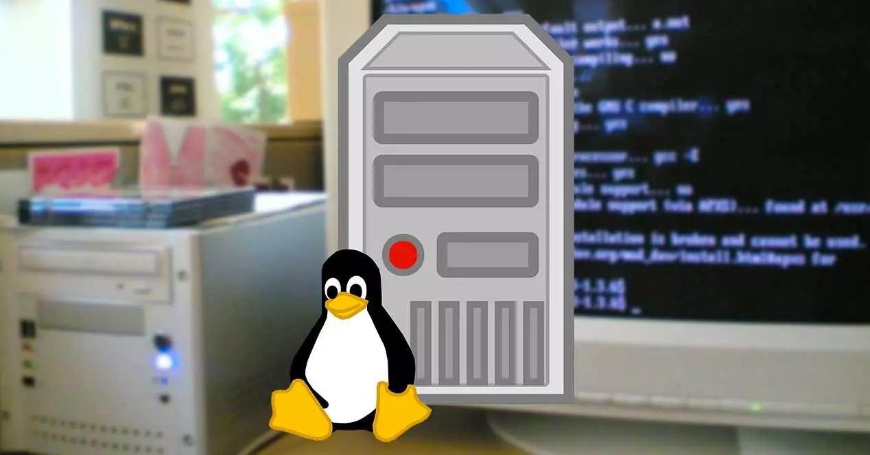 Sistem Linux kanggo server - Distribusi paling apik