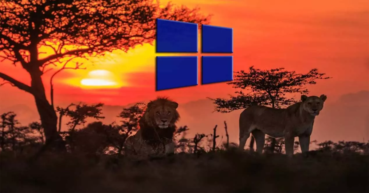 Мавзӯъҳои National Geographic 4K барои танзими Windows