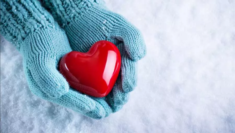 зимско срце
