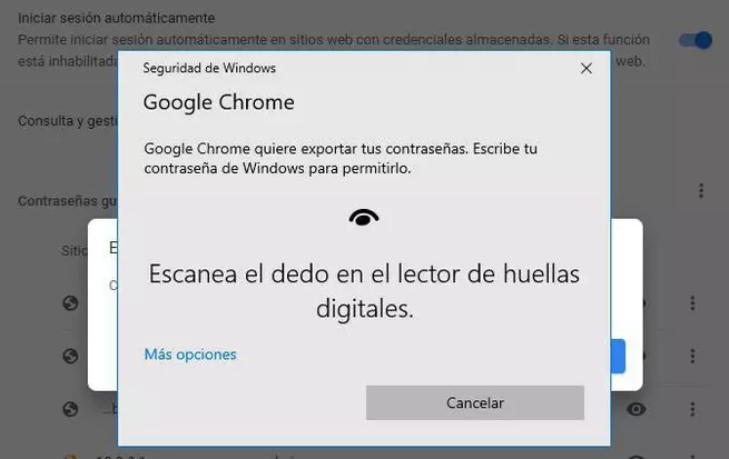 Chrome - Confirmar senhas de exportação 2