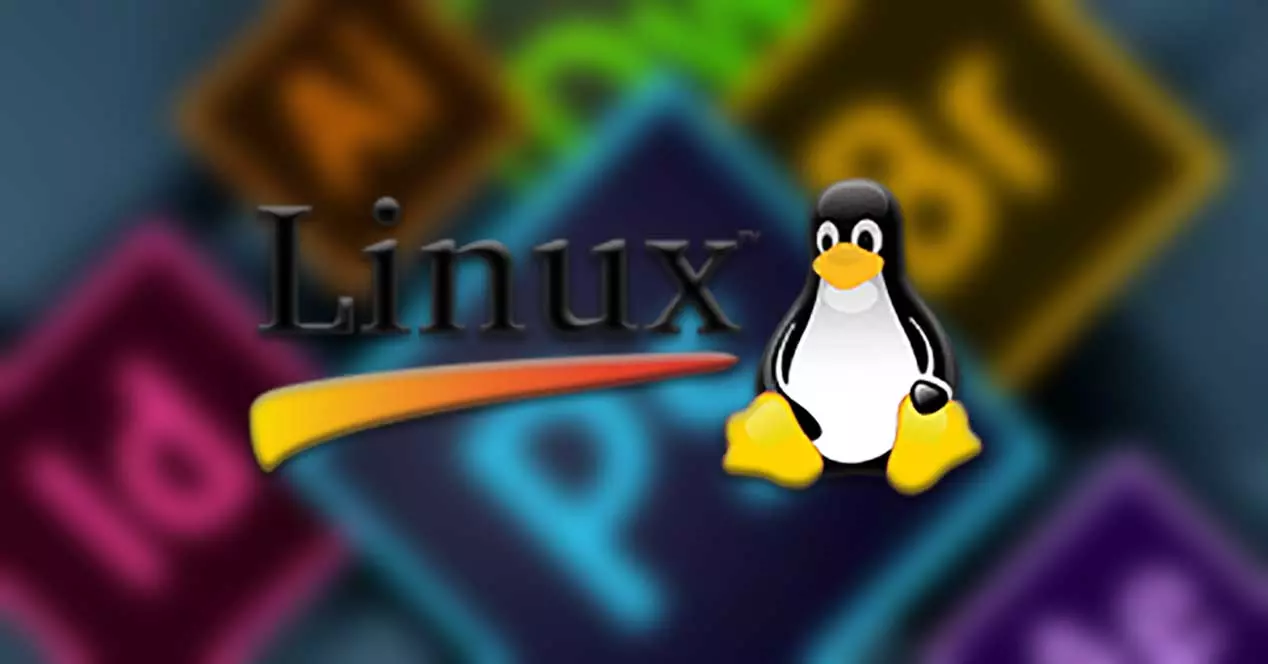 Zein programa erabil ditzakegun Linux-en Adobe Creative Cloud-en ordez