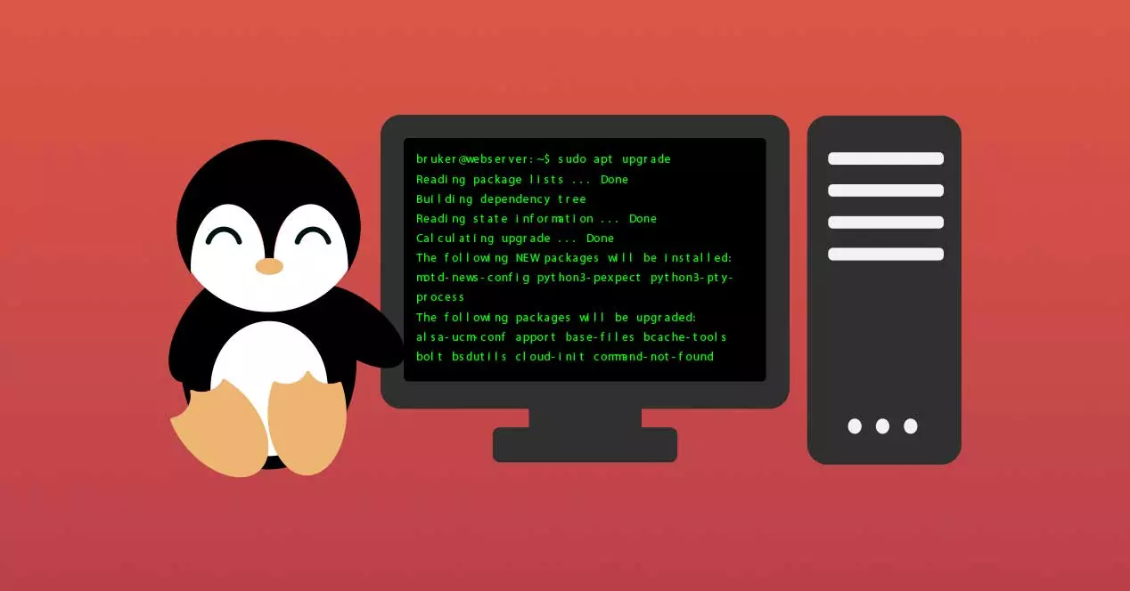 APT: utility per installare, aggiornare o eliminare programmi in Linux